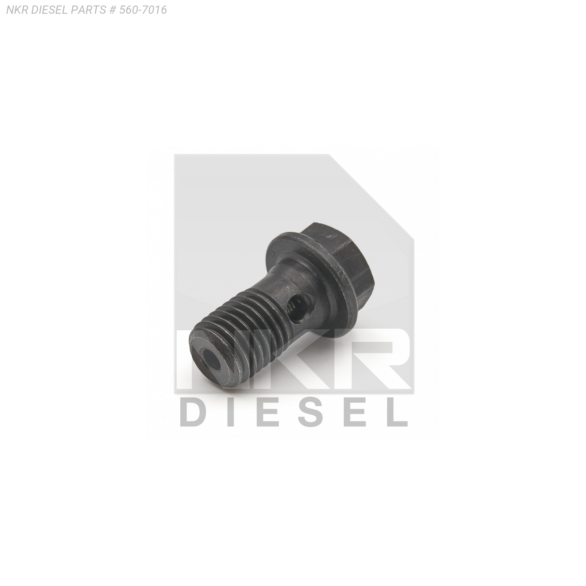 Oil Check Valve - 8973296180