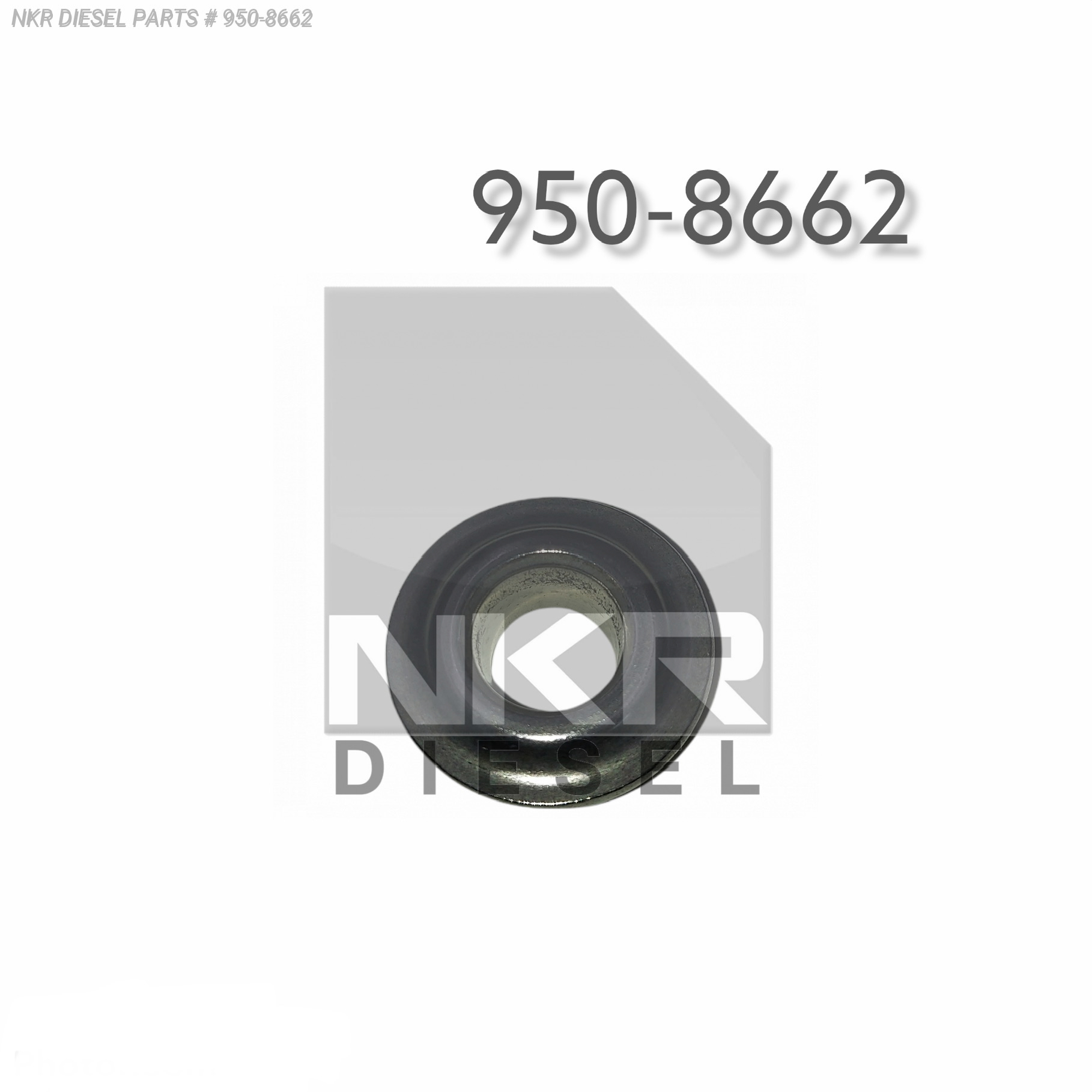 Seat Spring Inlet V8 Gas - 8101663440